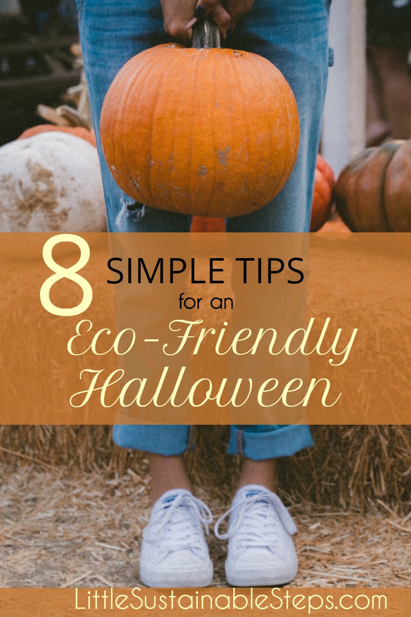 8 Simple Tips for an Eco-Friendly Halloween - Little Sustainable Steps